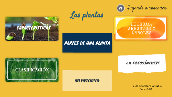 Las plantas