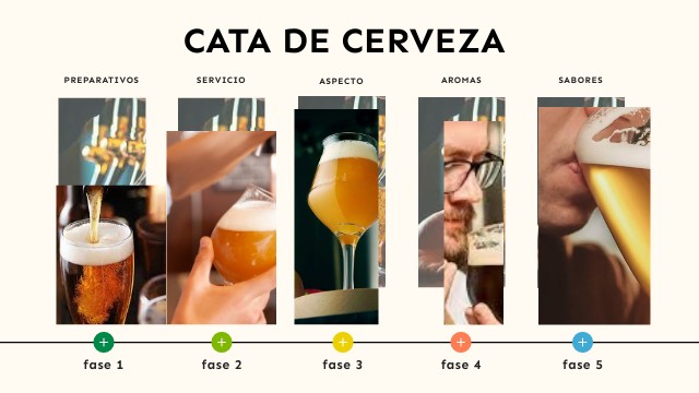 cata de cerveza | Genially