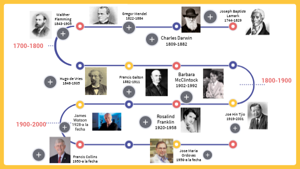 Linea del tiempo | Genially