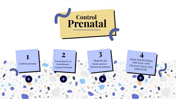 Control Prenatal