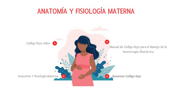 Anatomía y Fisiología Materna