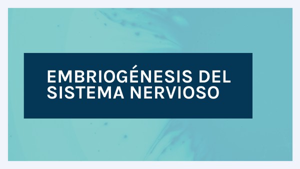 DESARROLLO EMBRIOLÓGICO DEL SNC | Genially