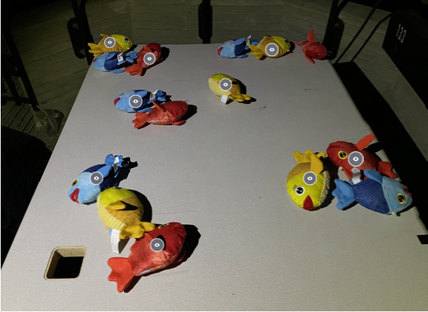 Fish Graveyard | Genially