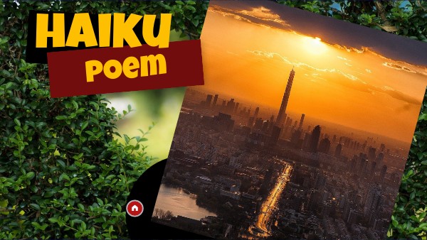 HAIKU