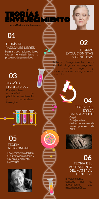 Teorías envejecimiento | Genially