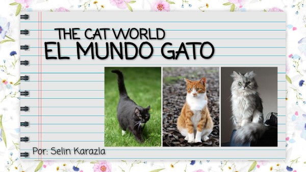 The Cat World, EL MUNDO GATO