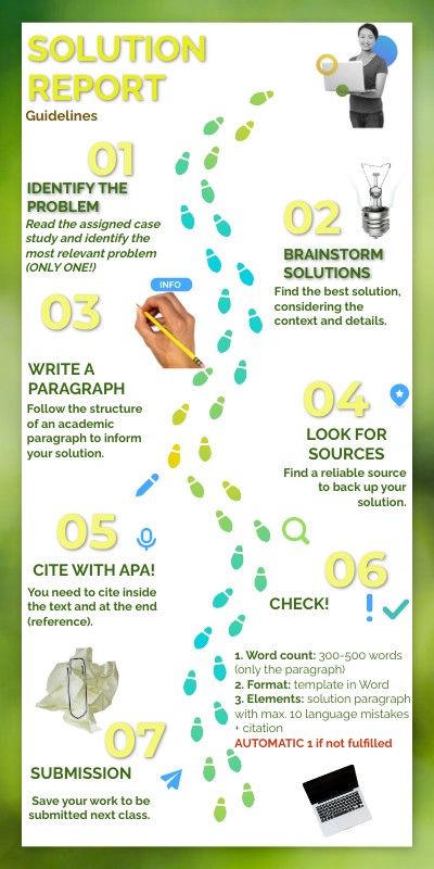 The Solution Report- Activity Guidelines