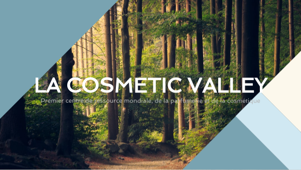 LA COSMETIC VALLEY | Genially