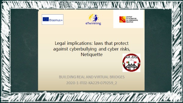 Laws that protect against cyberbullying and cyber risks, Netiquette