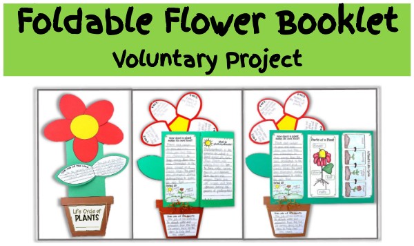 Foldable Booklet Instructions