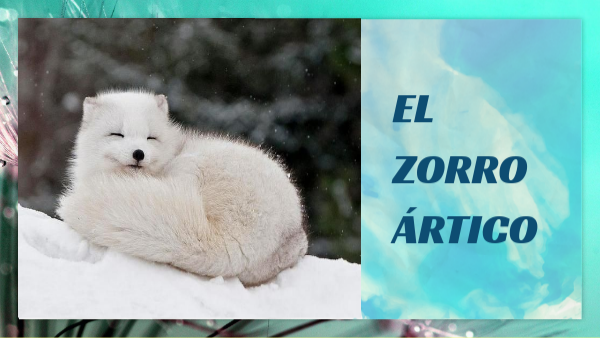 EL ZORRO ÁRTICO