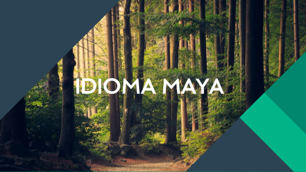Idioma Maya