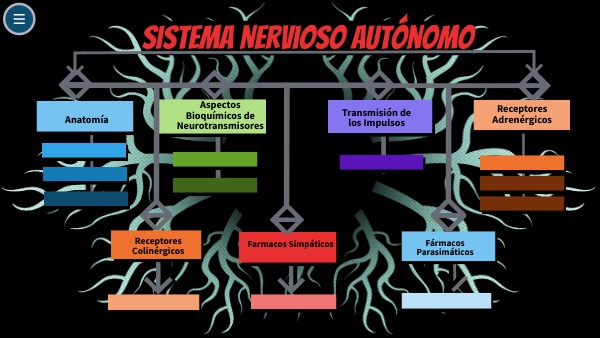 SISTEMA NERVIOSO AUTONOMO | Genially