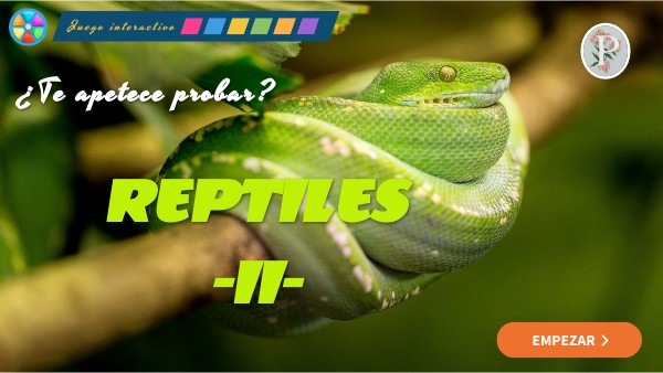 p-REPTILES II