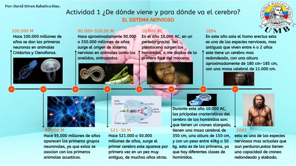La evolucion del cerebro | Genially