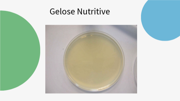 Gelose GN | Genially