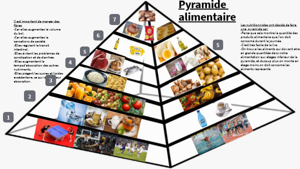 Pyramide alimentairre | Genially