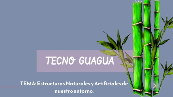 ESTRUCTURAS NATURALES Y ARTIFICIALES | Genially