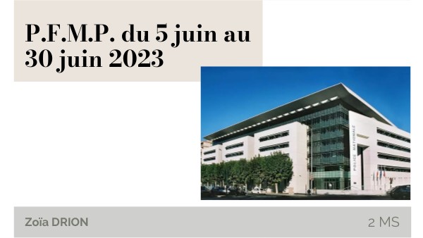 Diapo oral de stage 5 juin au 30 juin 2023 | Genially