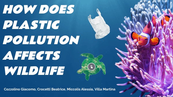 HOW DOES PLASTIC POLLUTION AFFECTS WILDLIFE