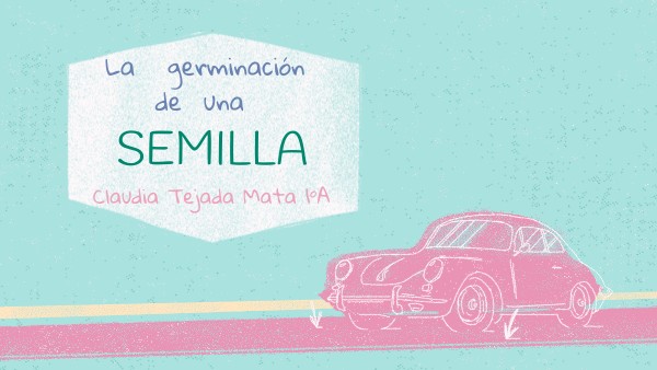 Germinación de una semilla by Claudia Tejada | Genially