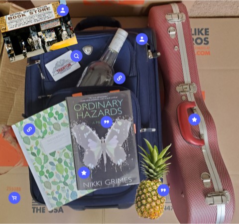 Ordinary Hazards by Nikki Grimes