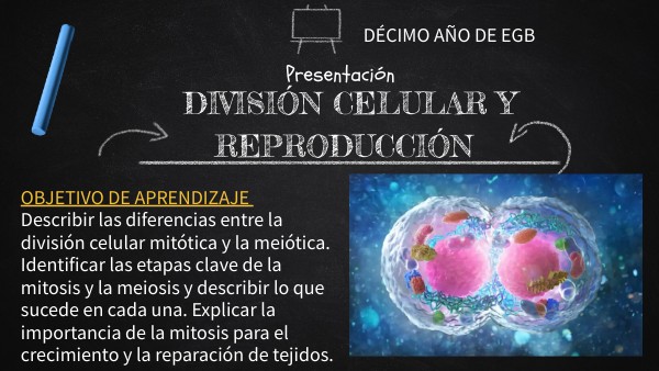 CICLO CELULAR | Genially