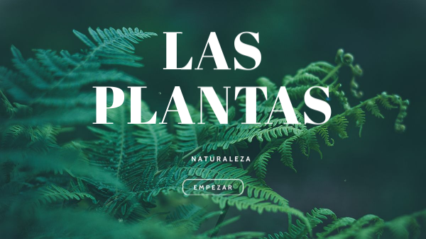FUNCIONES DE LAS PARTES DE LA PLANTA