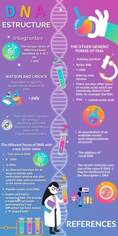 DNA ESTRUCTURE | Genially