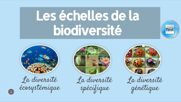 les échelles de la biodiversité | Genially