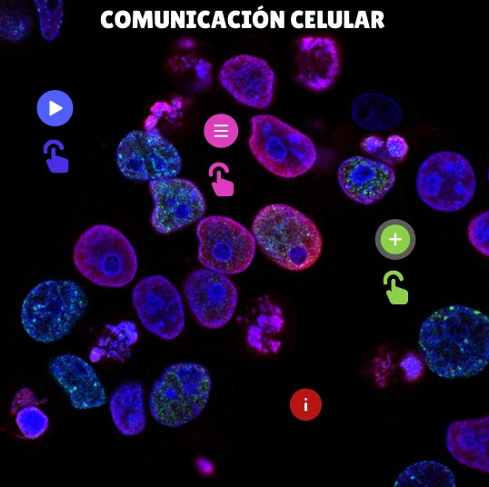 Comunicación Celular | Genially