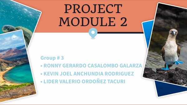 PROJECT MODULE 2