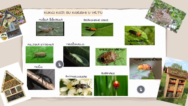 HORIZONTAL ART LIST