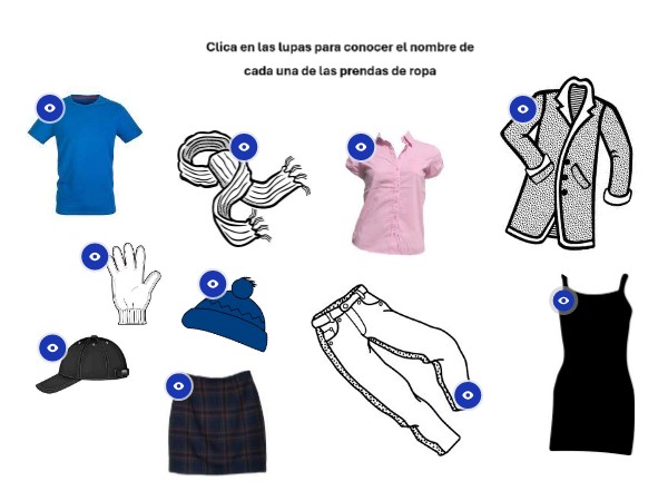 60300009_Prendas de ropa