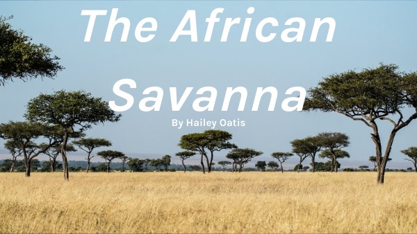 The African Savanna | Genially