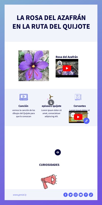 INFOGRAFÍA ROSA DEL AZAFRÁN