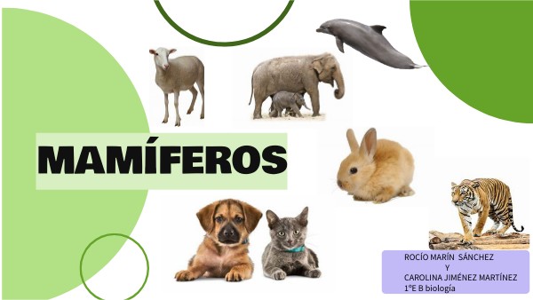 biología,mamiferos. | Genially