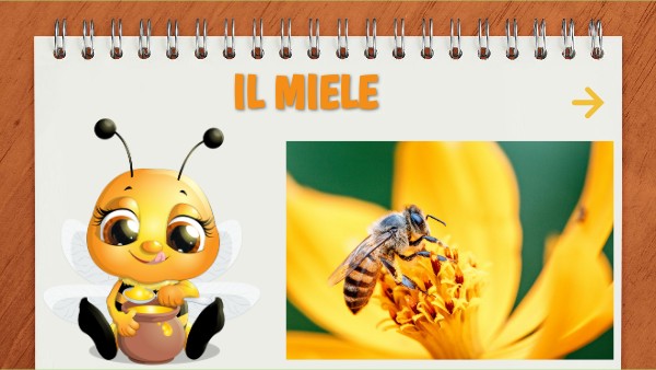 DAL NETTERE AL MIELE | Genially