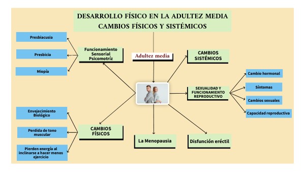 Desarrollo físico en la adultez media, cambios físicos, cambios sistém