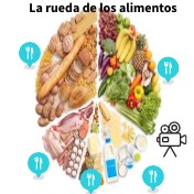 la rueda de los alimentos | Genially