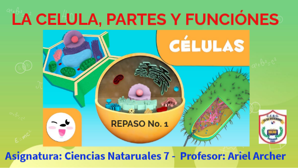 LA CÉLULA 7°