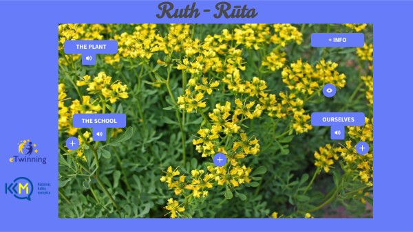 Ruth, the national plant of Lithuania