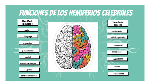 funciones de los hemiferios celebrales | Genially