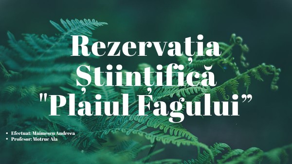 Plaiul Fagului | Genially