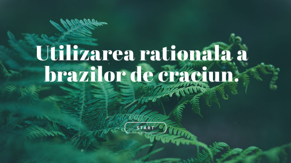 Utilizarea rationala a brazilor | Genially