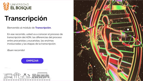 Transcripción