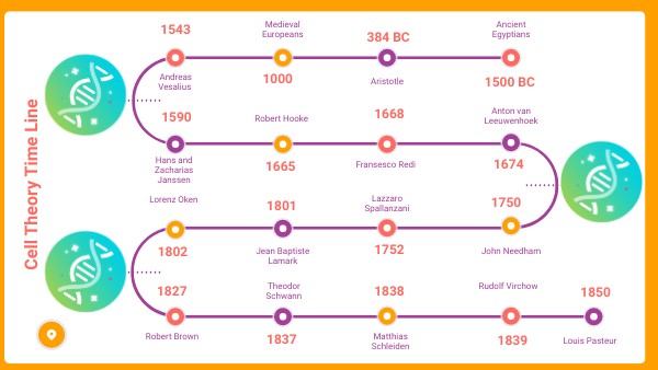 Cell Theory Timeline