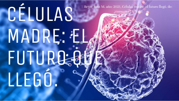 Células madre