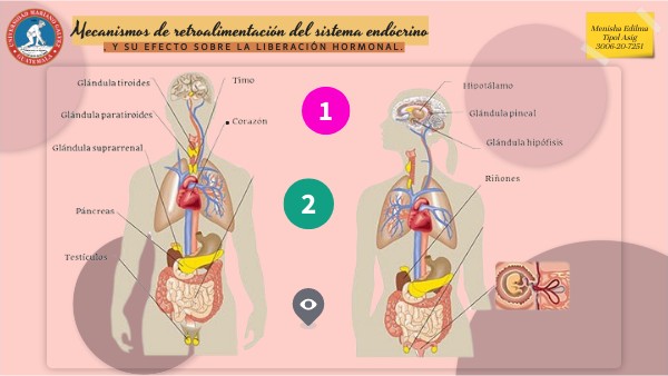 Diagrama Mecanismos de retroalimentación y su efecto | Genially