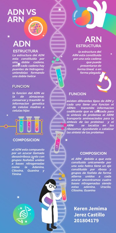 DIFERENCIAS ENTRE ADN Y ARN | Genially